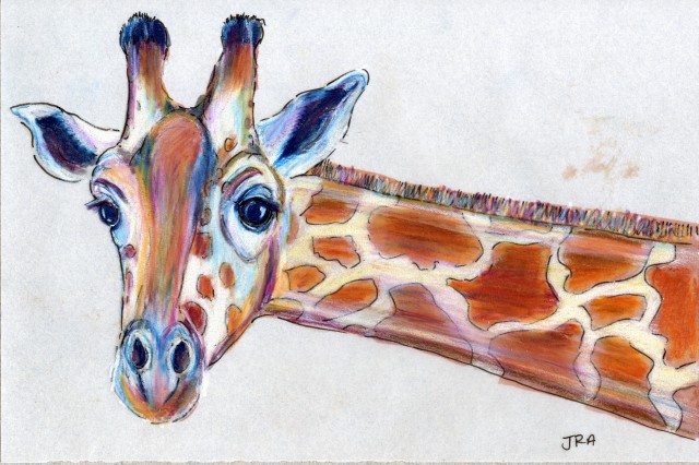 Darwin Days: Giraffe (Giraffa camelopardalis) | The Daily Mammal